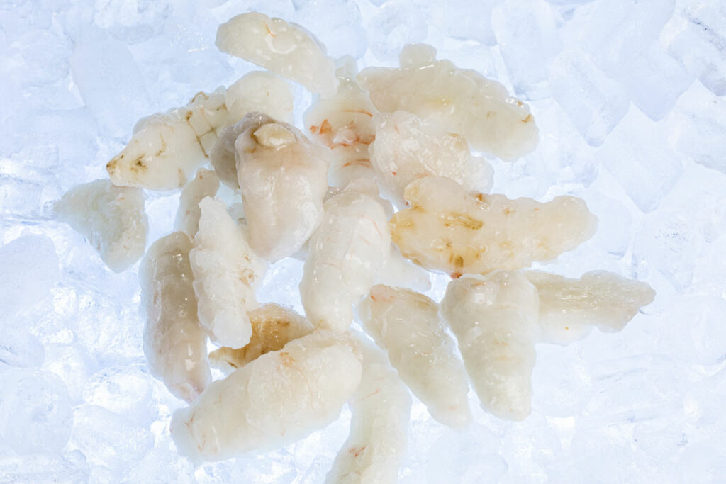 Bugs (Slipper Lobster) - Burswood Seafood